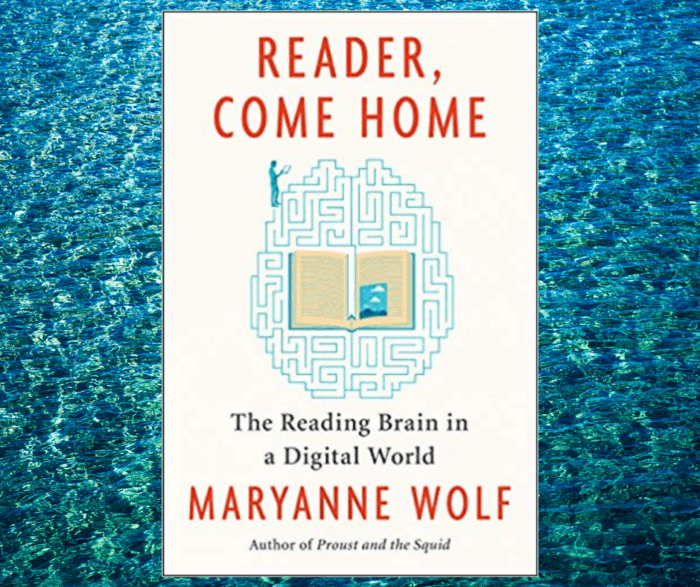 Book Recommendation | Reader, Come Home | The Written Word