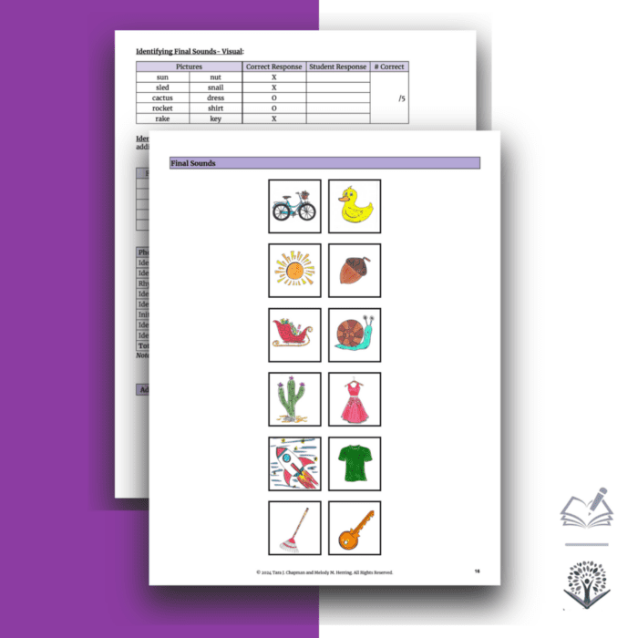 Benchmark Assessments - Progress Monitoring | The Written Word